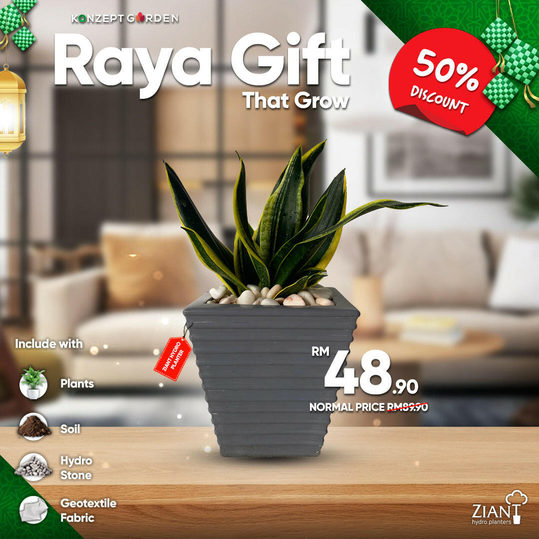 Ziant Hydro Planters ZP001 XS (RAYA PROMOTION)