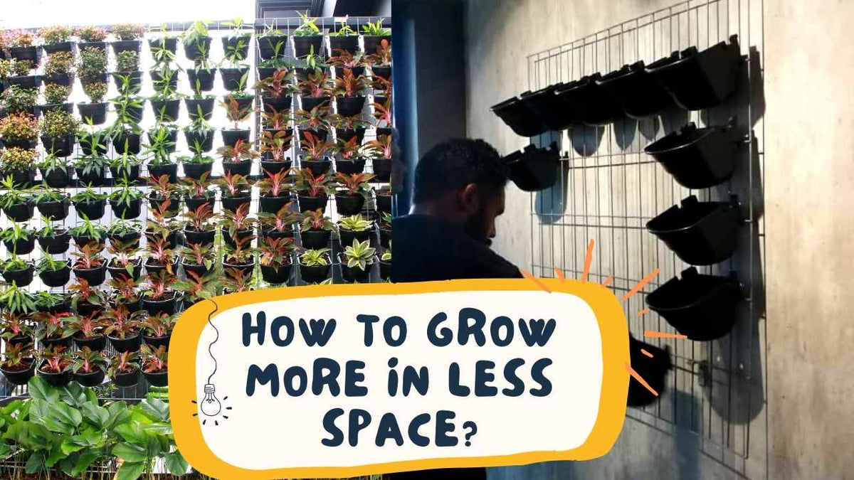 How to Grow More in Less Space? | Konzept Garden