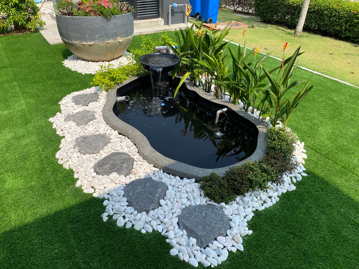 Zen Bio Mini Natural Koi Pond 2 | Konzept Garden